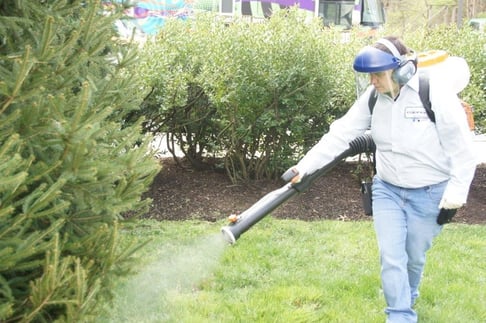 Best Mosquito Service In NJ