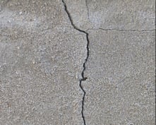 How Much Does It Cost to Get Rid of Spiders?