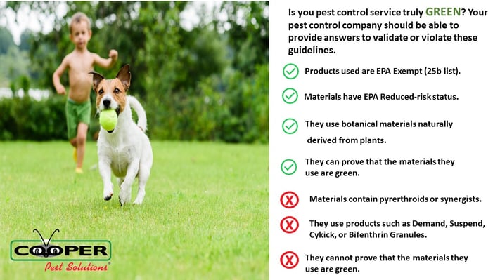 How To Keep Bugs Away Naturally